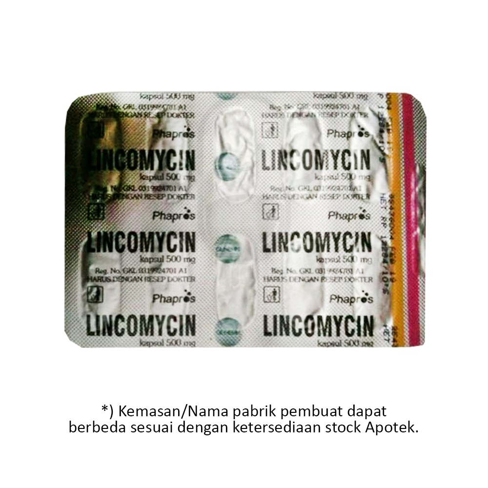 Lincomycin 500 mg 10 Kapsul – Bali Pharmacy
